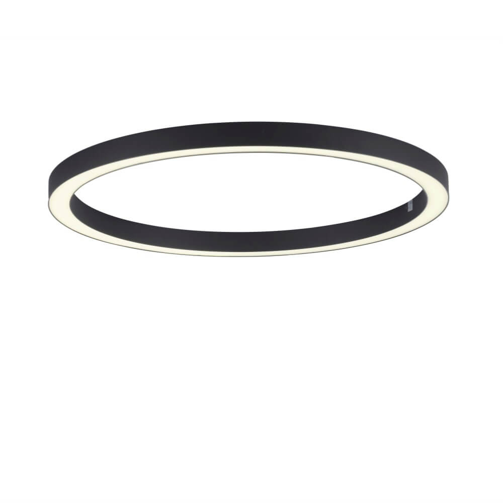 Ronde vloerlamp Pure Lines Round Ø 70cm antraciet van Paul Neuhaus ...